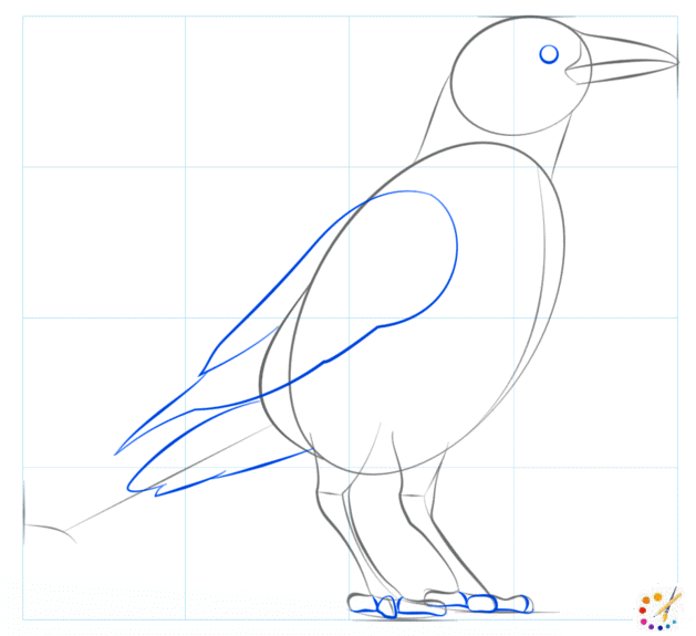 How to Draw a crow Step By Step – For Kids & Beginners