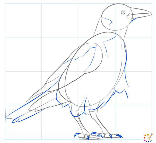 How to Draw a crow Step By Step – For Kids & Beginners