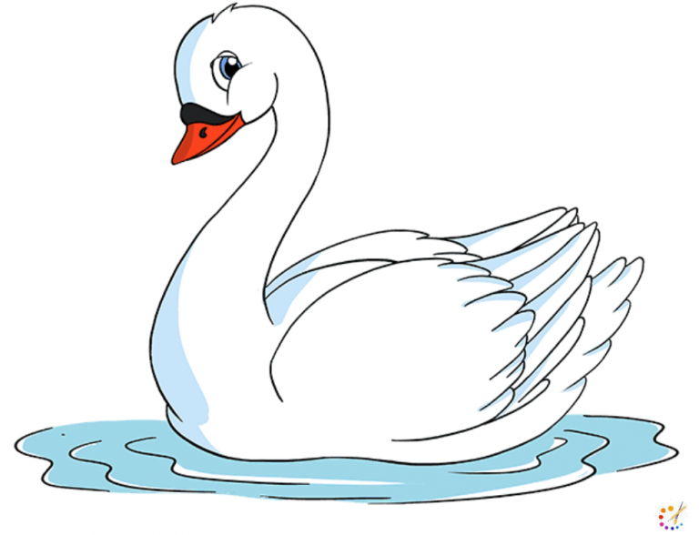 How to Draw a Swan Step By Step – For Kids & Beginners