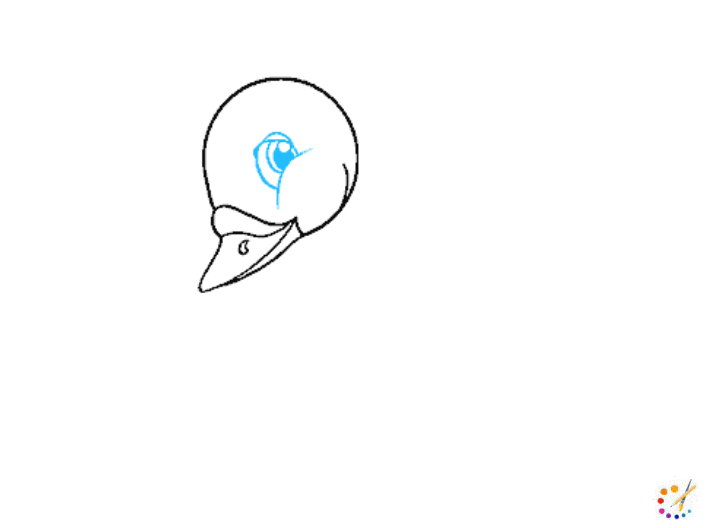 How to Draw a Swan Step By Step – For Kids & Beginners