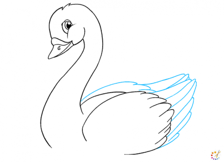 How to Draw a Swan Step By Step – For Kids & Beginners