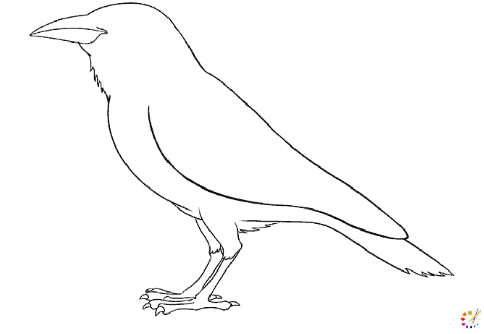 How to Draw a crow Step By Step – For Kids & Beginners