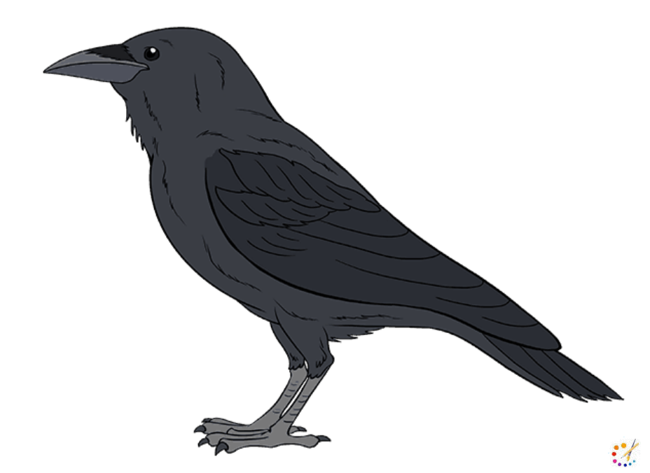 How to Draw a crow Step By Step – For Kids & Beginners