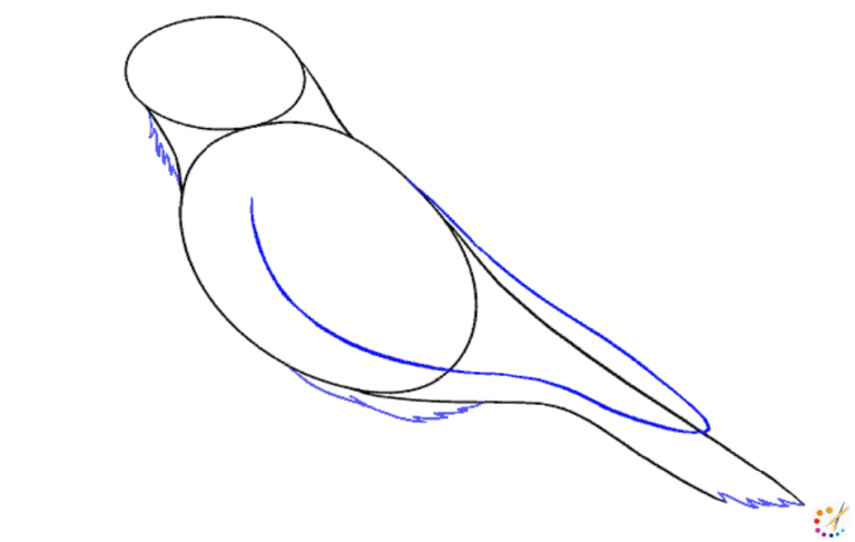 How to Draw a crow Step By Step – For Kids & Beginners