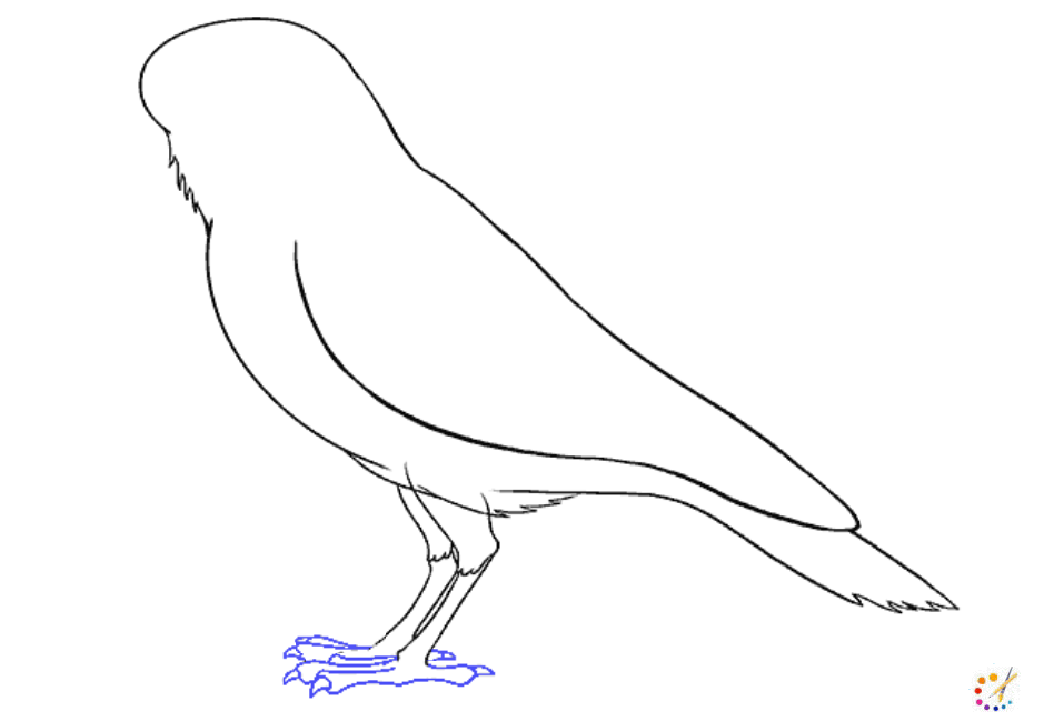 How to Draw a crow Step By Step – For Kids & Beginners