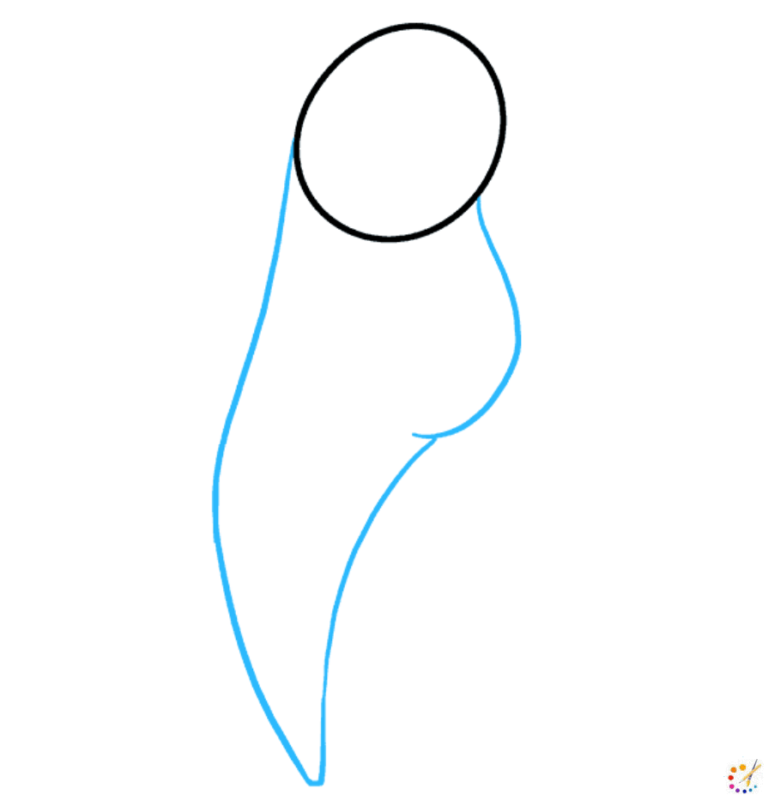 How to Draw a Parrot Step By Step – For Kids & Beginners
