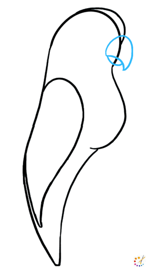 How to Draw a Parrot Step By Step – For Kids & Beginners