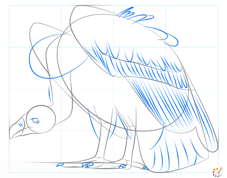 How to Draw Vulture Step By Step – For Kids & Beginners