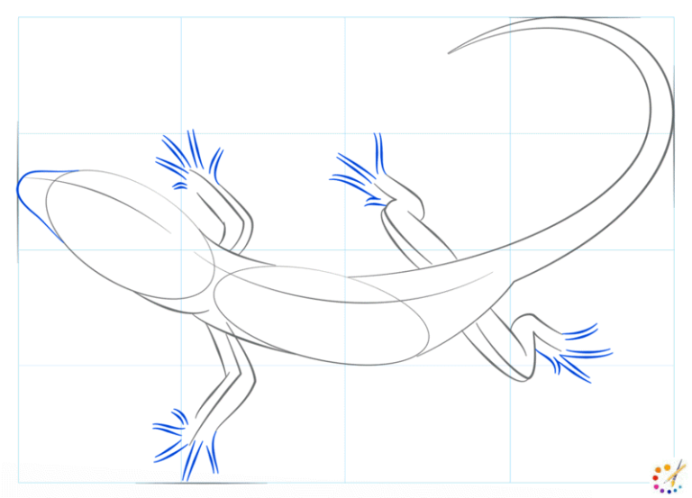 How to draw a Lizard Step By Step – For Kids & Beginners