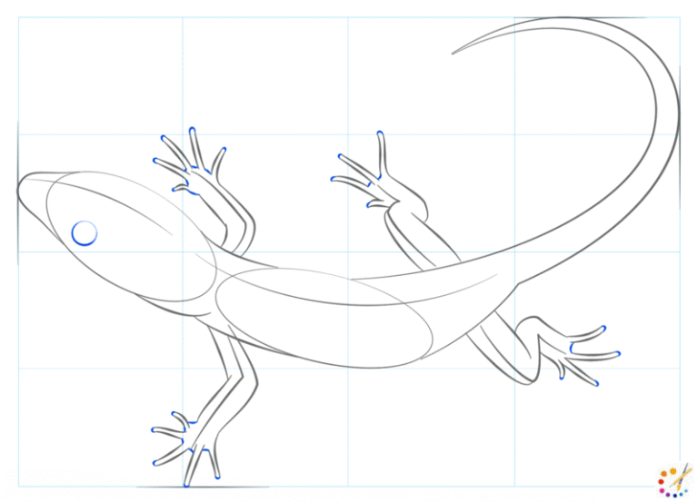 How to draw a Lizard Step By Step – For Kids & Beginners