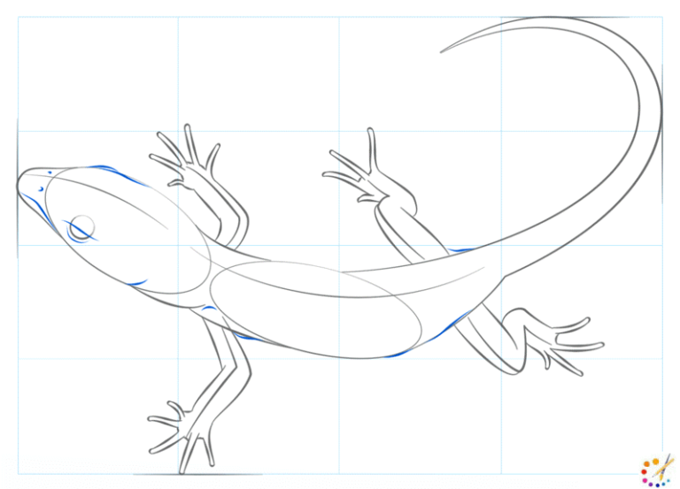 How to draw a Lizard Step By Step – For Kids & Beginners