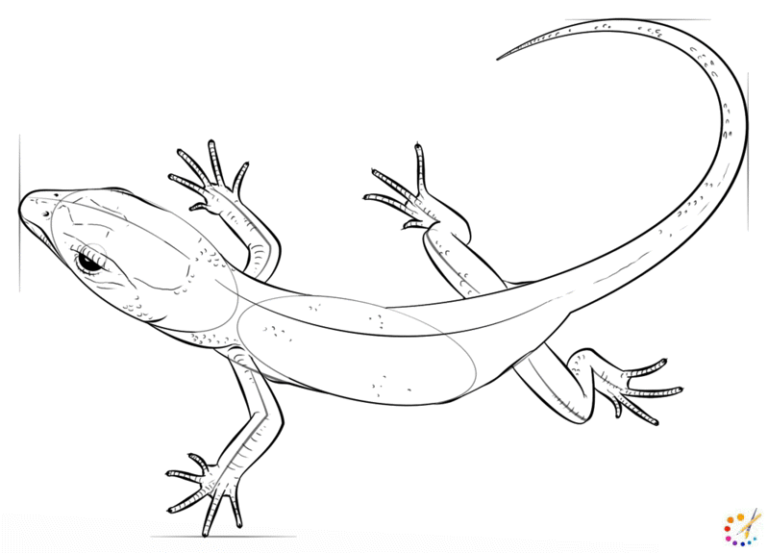 How to draw a Lizard Step By Step – For Kids & Beginners