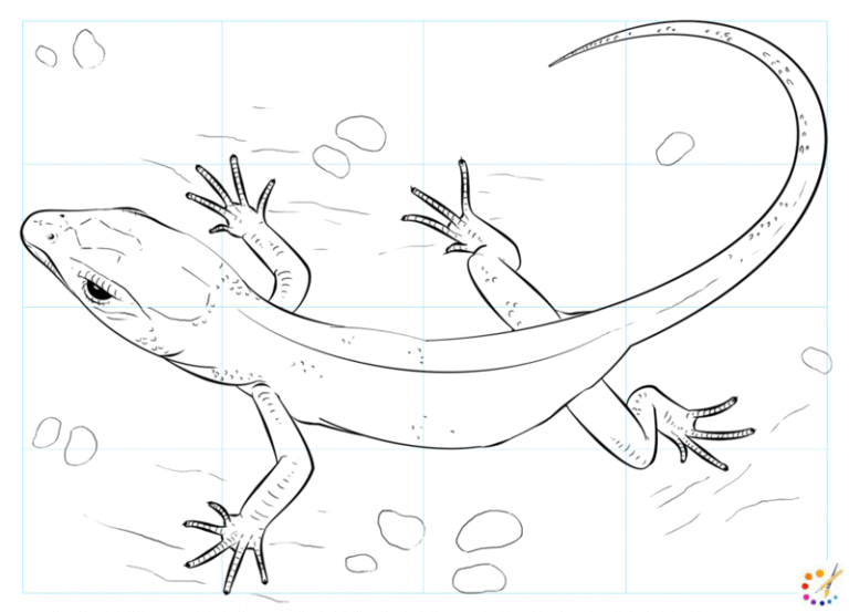 How to draw a Lizard Step By Step – For Kids & Beginners