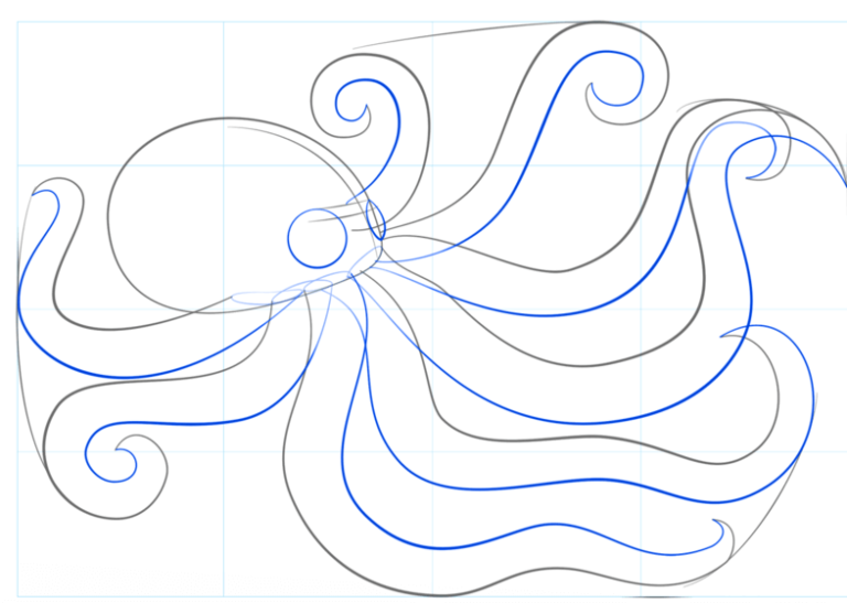 How to draw an Octopus Step By Step – For Kids & Beginners