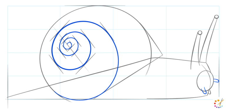 How to Draw a Snail Step By Step – For Kids & Beginners