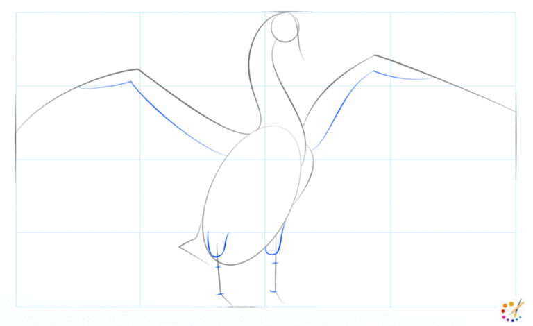 How to Draw a Swan Step By Step – For Kids & Beginners
