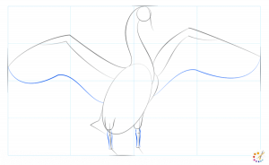 How to Draw a Swan Step By Step – For Kids & Beginners