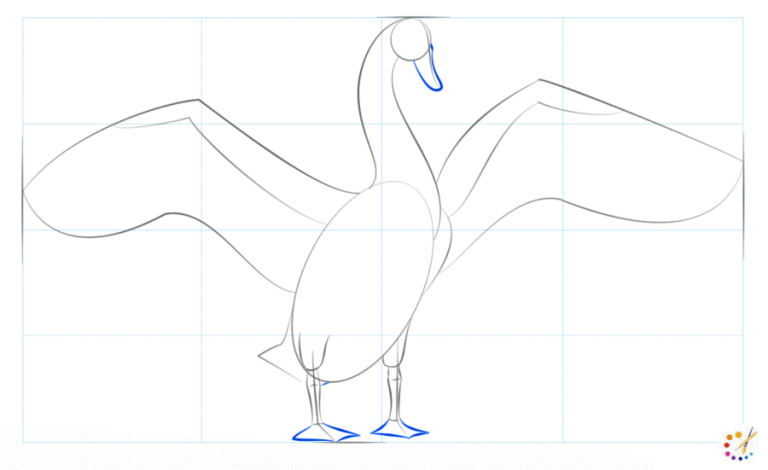 How to Draw a Swan Step By Step – For Kids & Beginners