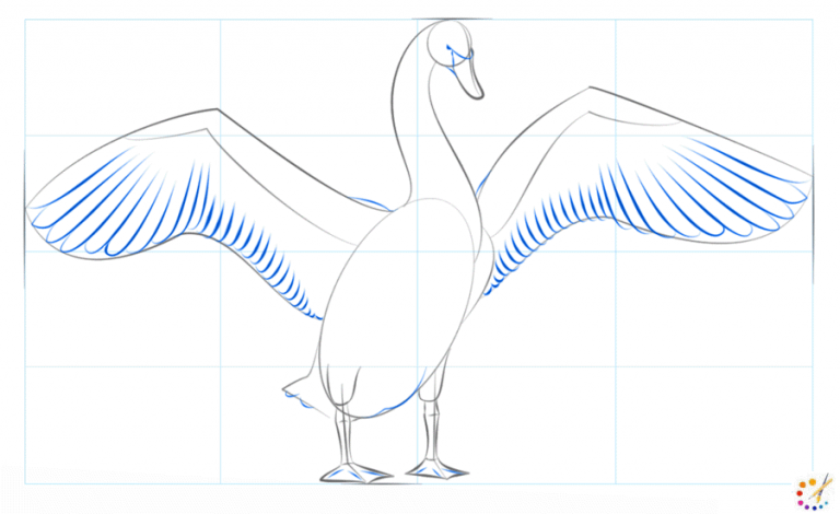 How to Draw a Swan Step By Step – For Kids & Beginners