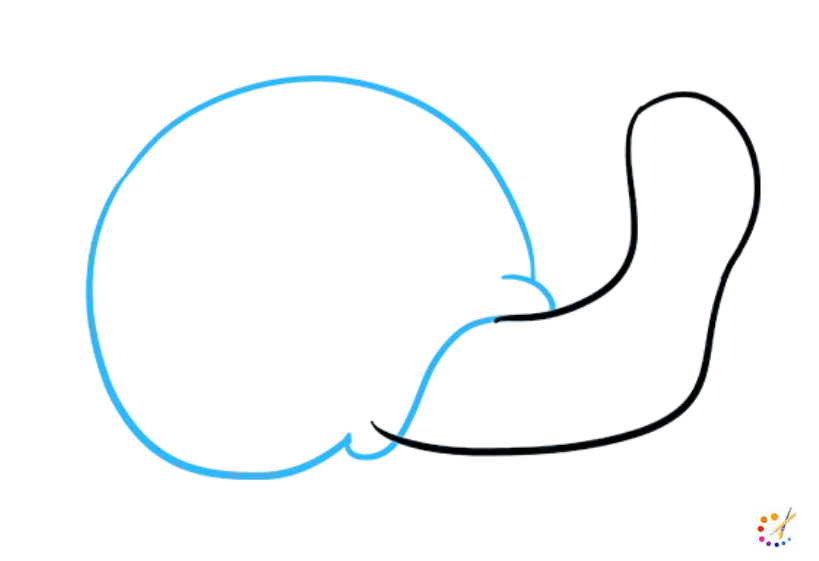 How to Draw a Snail Step By Step – For Kids & Beginners