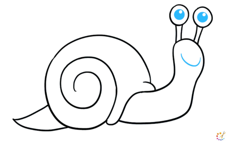 How to Draw a Snail Step By Step – For Kids & Beginners