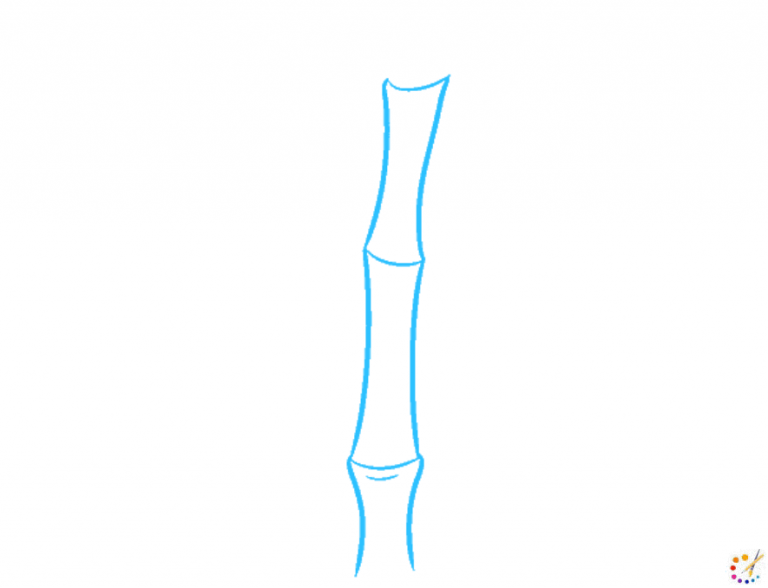 How to Draw Bamboo Step By Step – For Kids & Beginners
