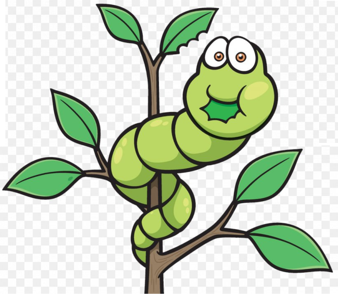 How to draw a caterpillar Step By Step – For Kids & Beginners