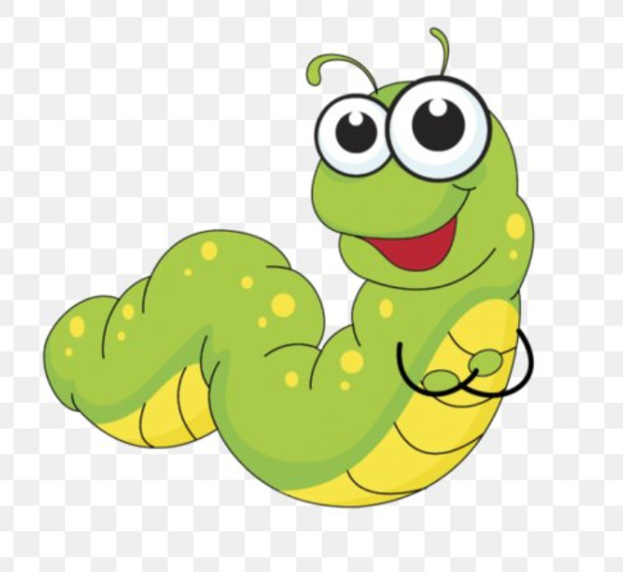 How to draw a caterpillar Step By Step – For Kids & Beginners