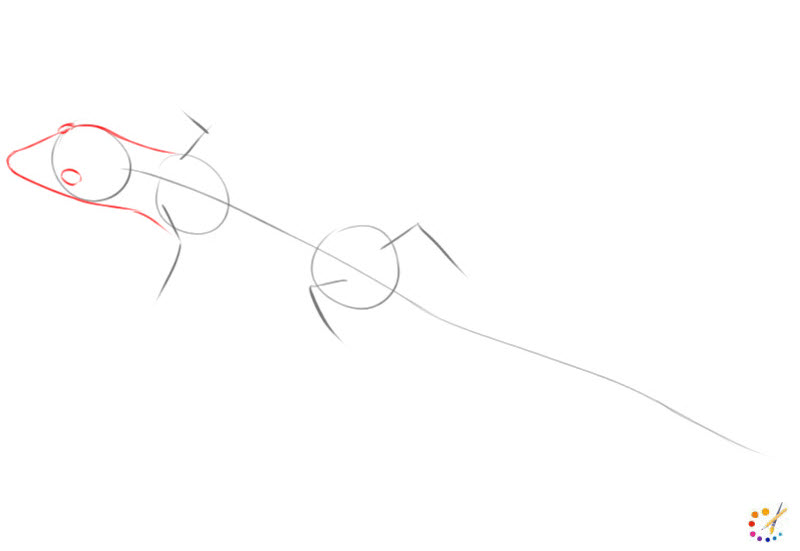 How to draw a Lizard Step By Step – For Kids & Beginners