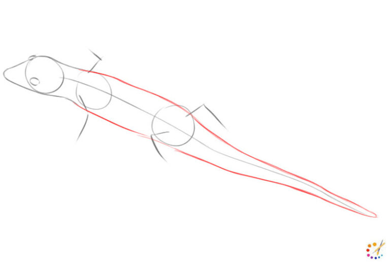 How to draw a Lizard Step By Step – For Kids & Beginners