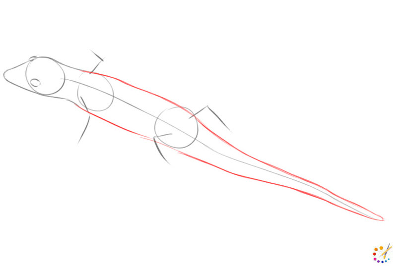 How to draw a Lizard Step By Step – For Kids & Beginners