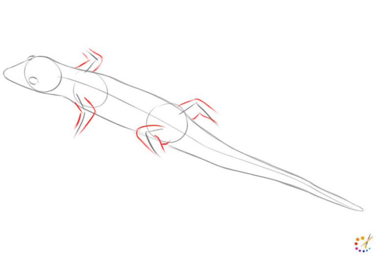 How to draw a Lizard Step By Step – For Kids & Beginners