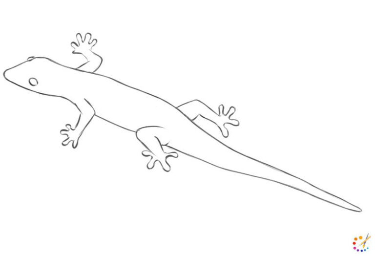 How to draw a Lizard Step By Step – For Kids & Beginners