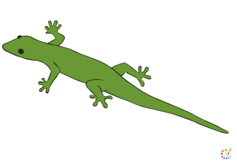 How to draw a Lizard Step By Step – For Kids & Beginners