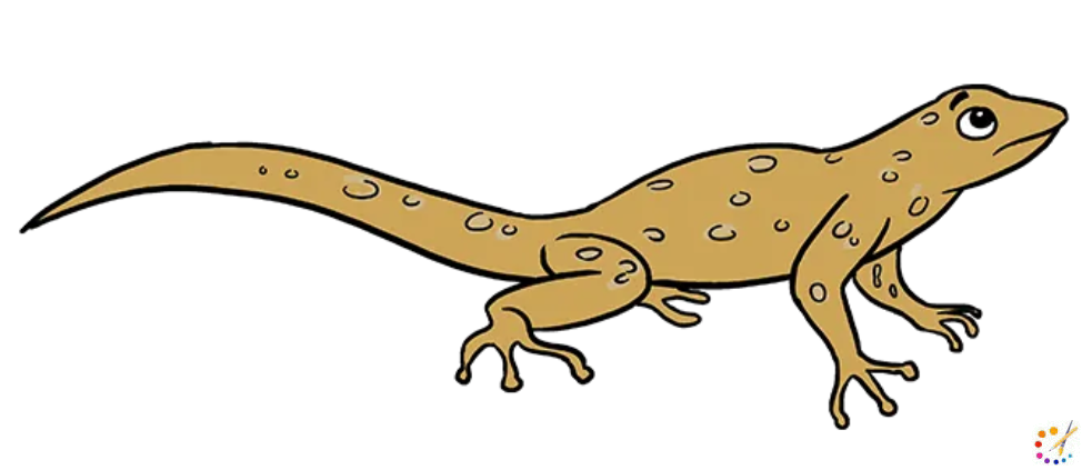 How to draw a Lizard Step By Step – For Kids & Beginners