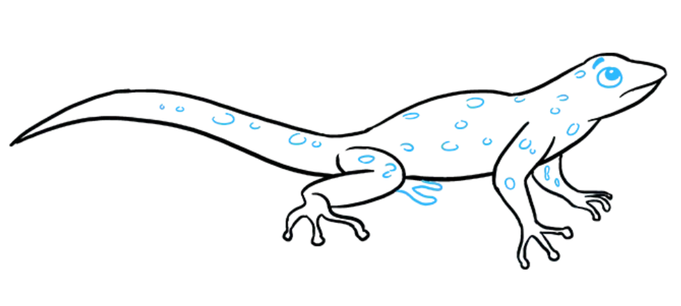 How to draw a Lizard Step By Step – For Kids & Beginners