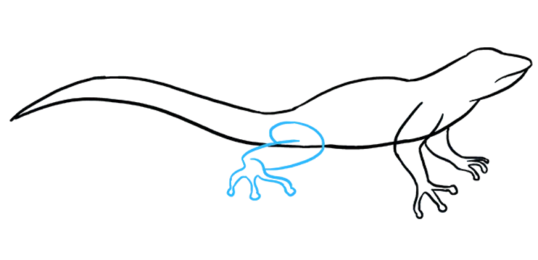 How to draw a Lizard Step By Step – For Kids & Beginners