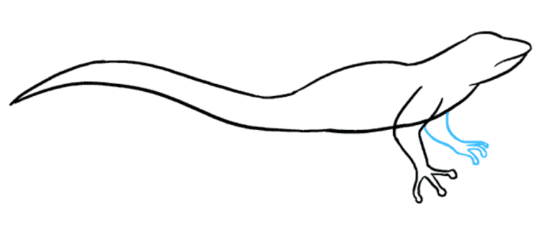 How to draw a Lizard Step By Step – For Kids & Beginners
