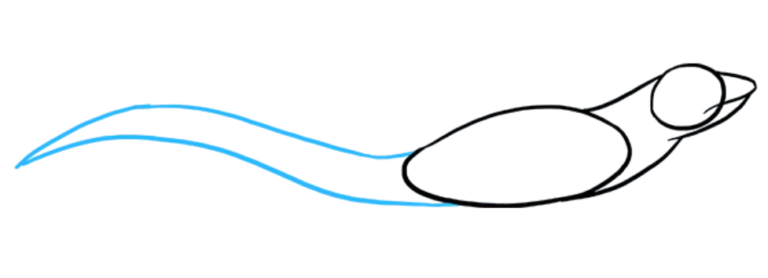 How to draw a Lizard Step By Step – For Kids & Beginners