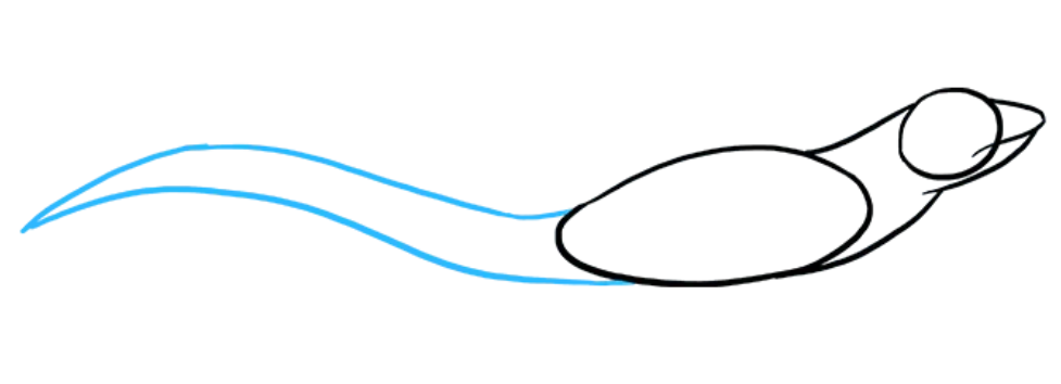 How to draw a Lizard Step By Step – For Kids & Beginners