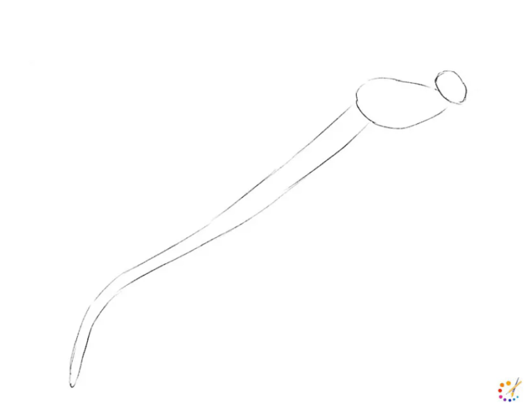 How to draw a Dragonfly Step By Step – For Kids & Beginners