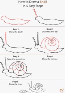 How to Draw a Snail Step By Step – For Kids & Beginners