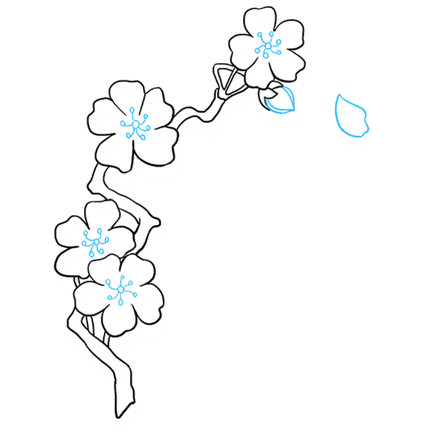 How to Draw Cherry Blossoms Step by Step – For Kids