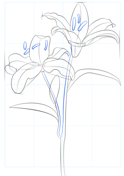 How to Draw Lily Step by Step – For Kids & Beginners