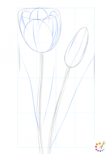 How to Draw a Tulip Step by Step – For Kids & Beginners