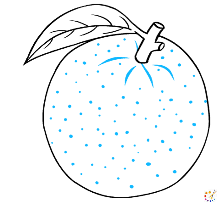 How to draw Orange Step by Step – For Kids & Beginners