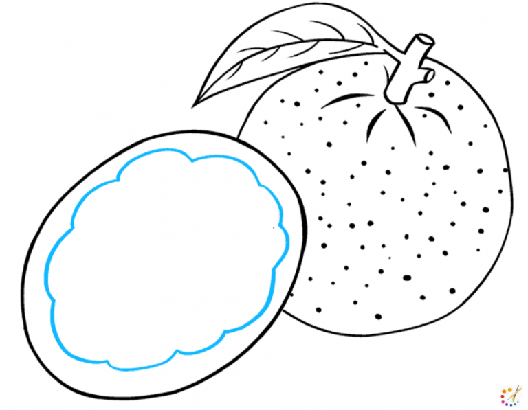 How to draw Orange Step by Step – For Kids & Beginners