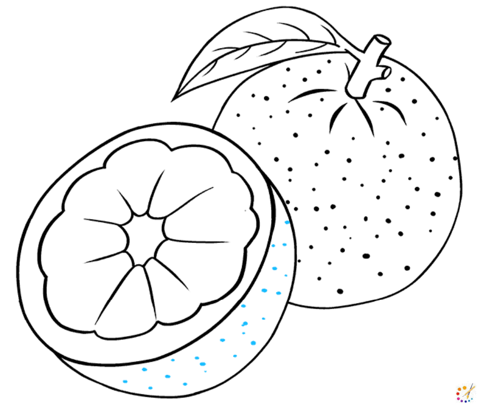 How to draw Orange Step by Step – For Kids & Beginners