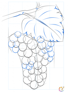 How to Draw Grapes Step by Step – For Kids & Beginners
