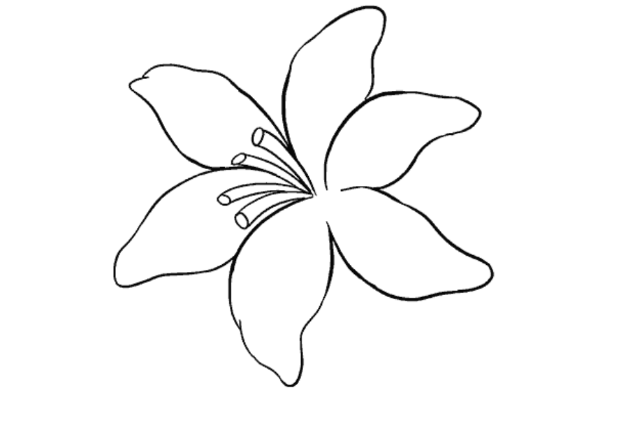 How to Draw Lily Step by Step – For Kids & Beginners